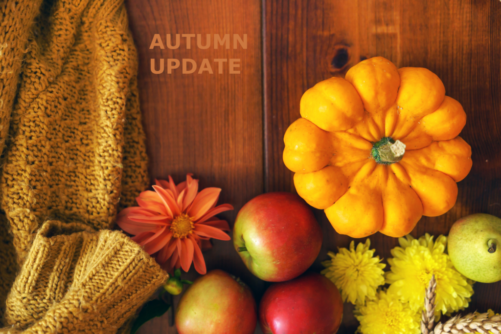 Autumn Update 2021 - Julie Philpot